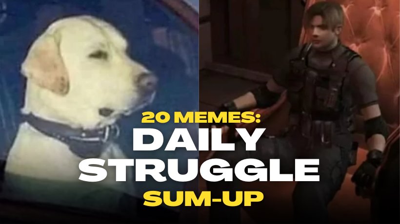 20 Memes That Perfectly Sum Up Your Daily Struggles - The Memedroid Blog