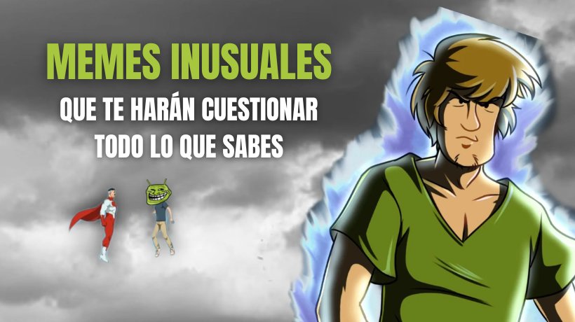 12 memes inusuales que te harán cuestionar todo lo que sabes - El Blog ...